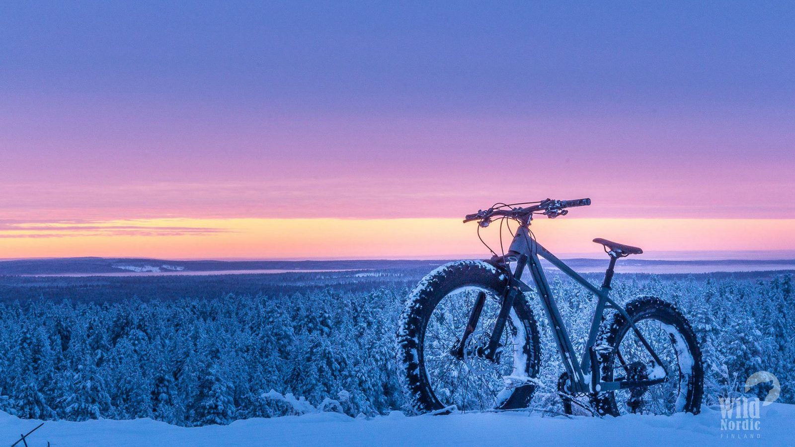 Your Gateway to Adventure in Lapland! | Wild Nordic