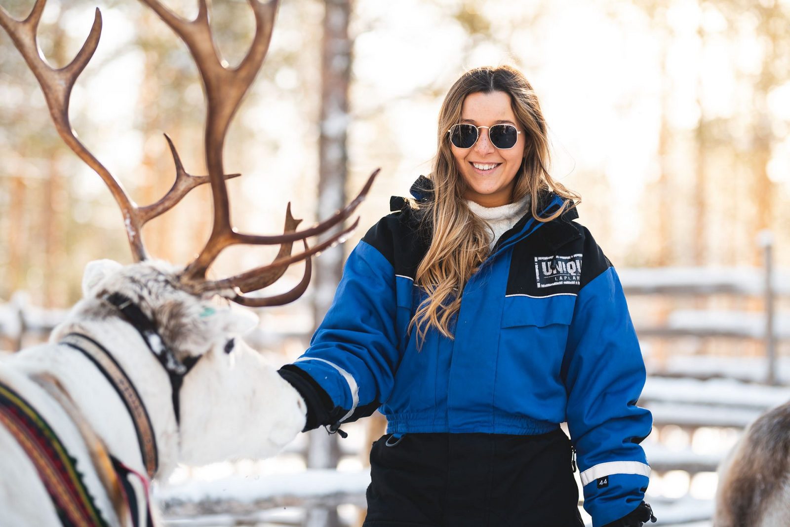 Long Reindeer Safari in the Nature of Lapland | Wild Nordic