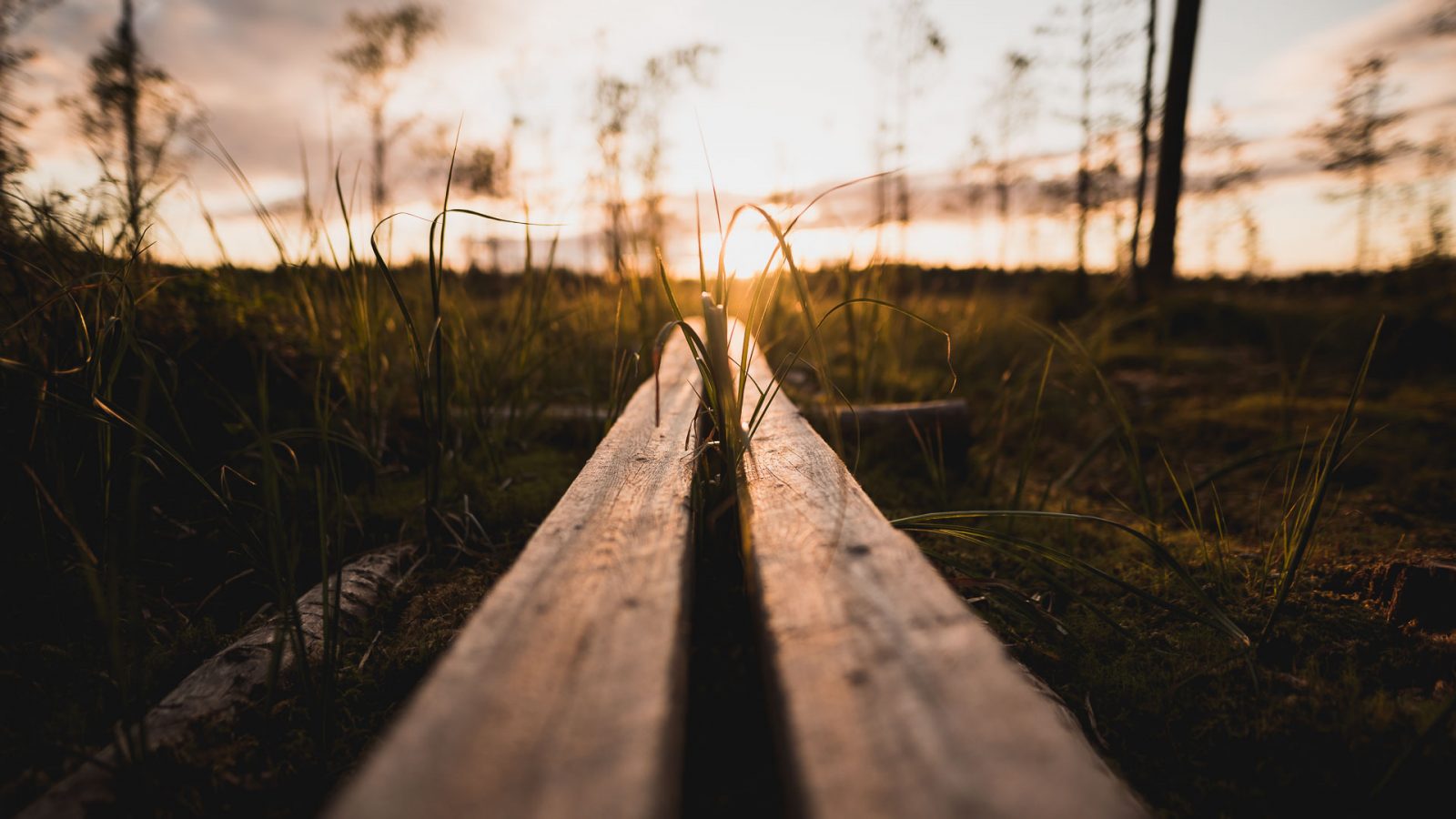 Your Gateway to Adventure in Lapland! | Wild Nordic