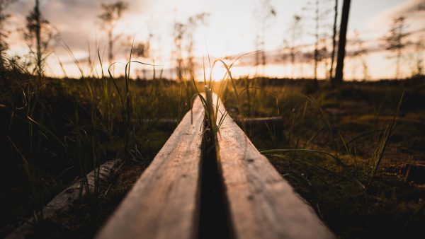 Your Gateway to Adventure in Lapland! | Wild Nordic