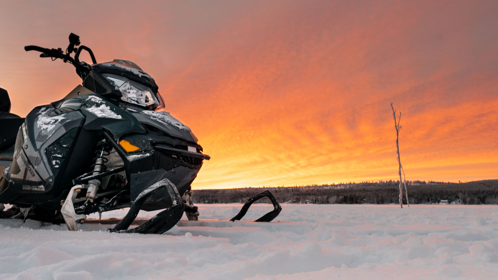 Half Day Snowmobile Safari with Lunch | Wild Nordic