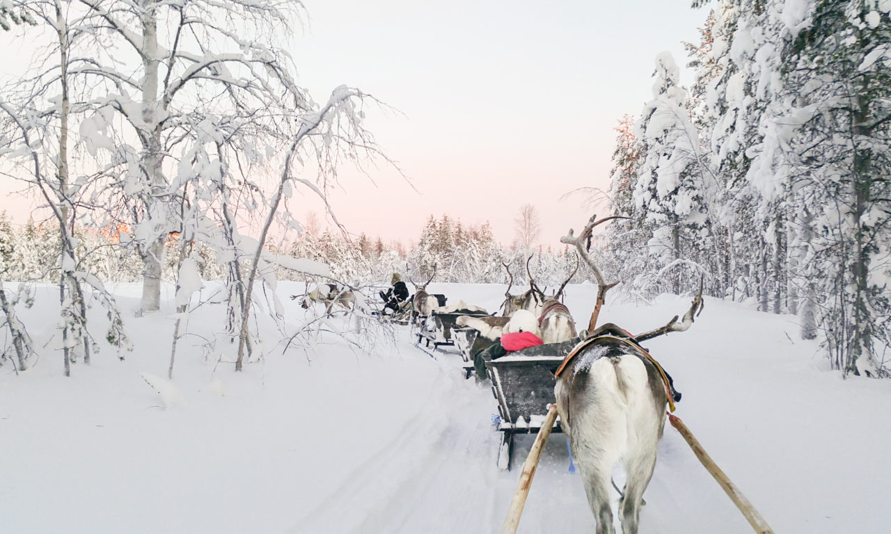 Destinations - Wild Nordic
