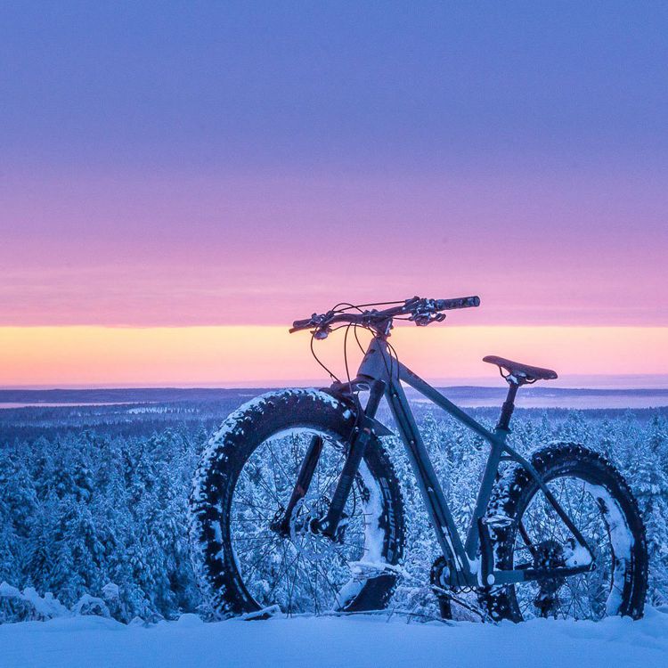 Electric Fatbiking Tour in the Snowy Landscape of Levi | Wild Nordic