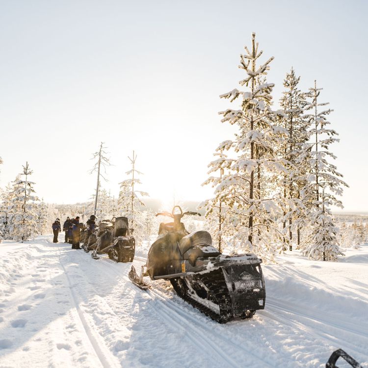 2-hour Snowmobile Safari to the Levi Nature | Wild Nordic