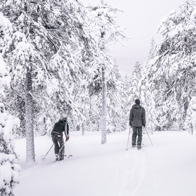 Panoramic Snowshoe Tour with Fell Views in Levi | Wild Nordic
