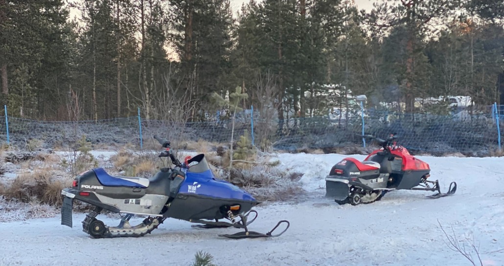 Mini-Snowmobile Ride for Children | Wild Nordic