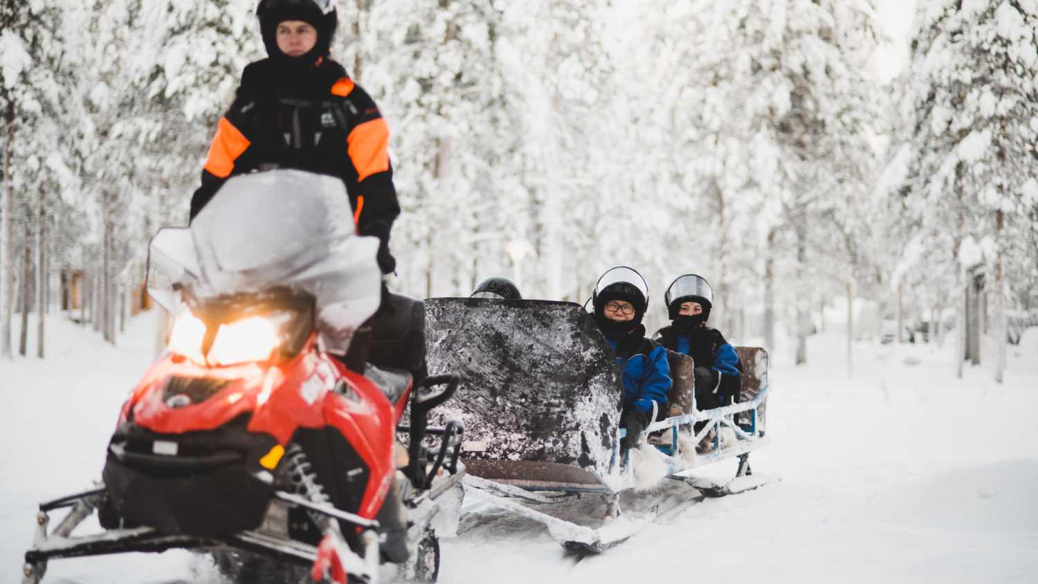 Top Family-Friendly Activities in Levi | Wild Nordic