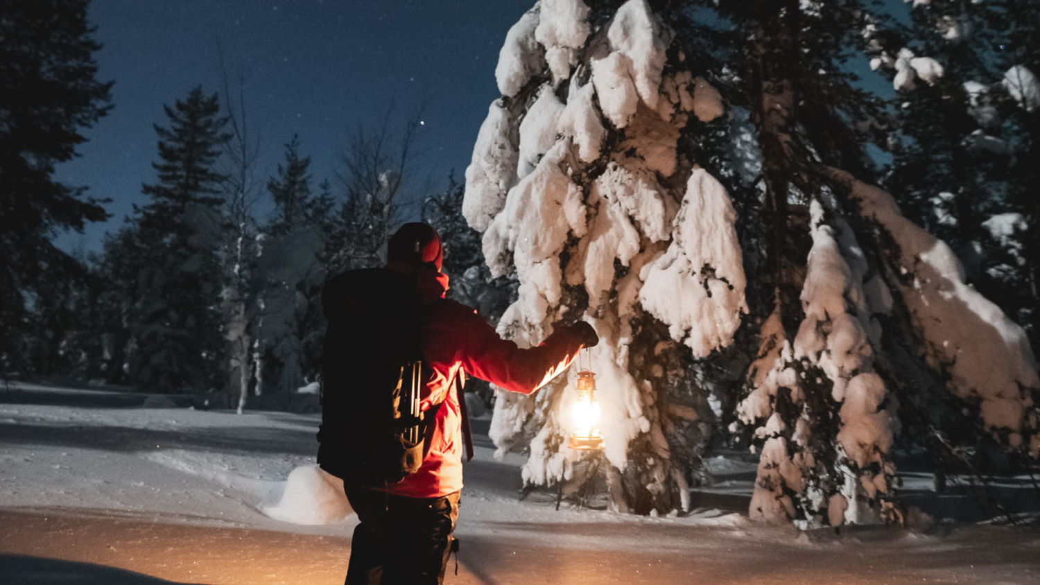 Evening Snowshoeing to Search for the Northern Lights | Wild Nordic